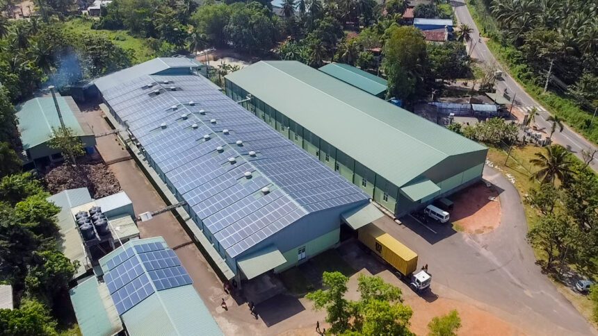 ALS: Pioneering Coconut Oil Mill Since 1907 | Grandpass & Pannala