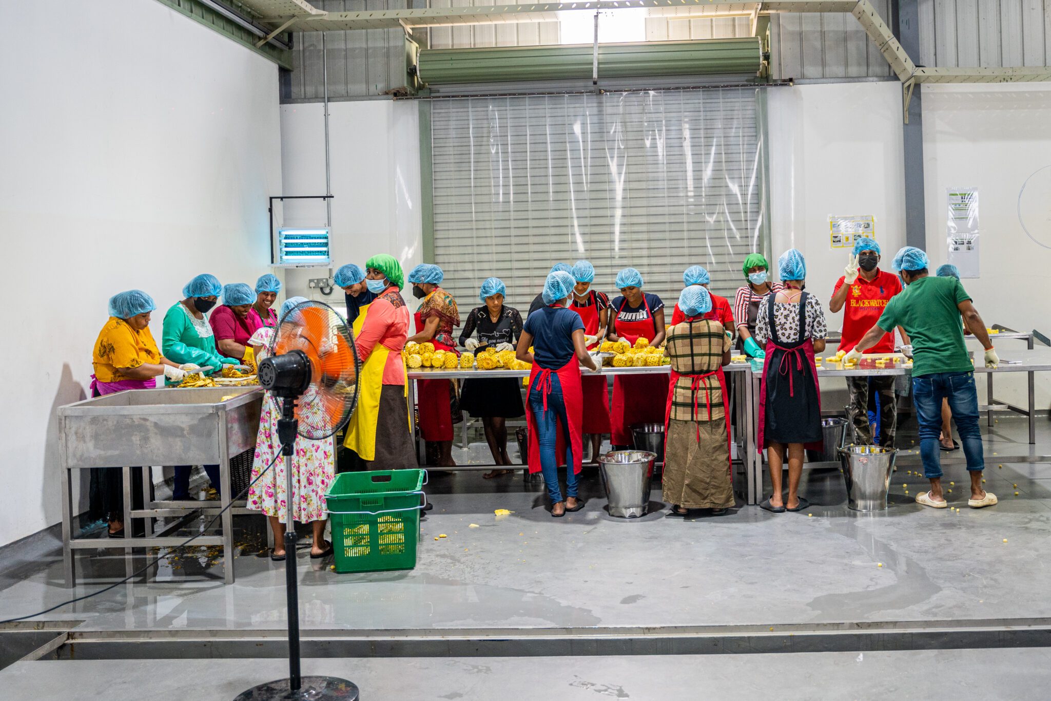 ALS: Pioneering Coconut Oil Mill Since 1907 | Grandpass & Pannala