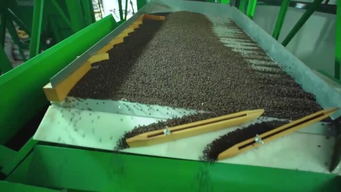 ALS: Pioneering Coconut Oil Mill Since 1907 | Grandpass & Pannala